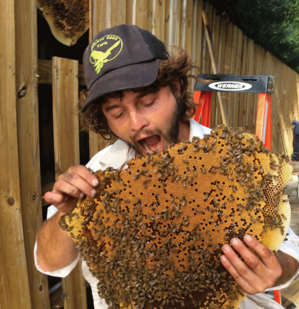 Treatment Free but not Stupid with Sam Comfort of Anarchy Apiaries (In ...