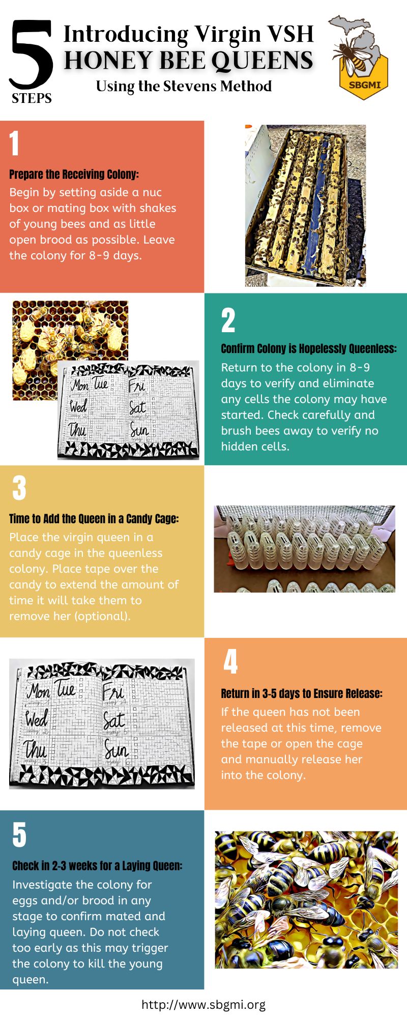 How do you introduce a virgin queen? - Sustainable Beekeepers Guild of ...